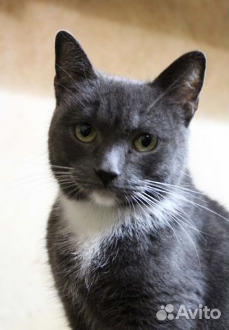 Древнегреческая богиня - умная и нежная Гера