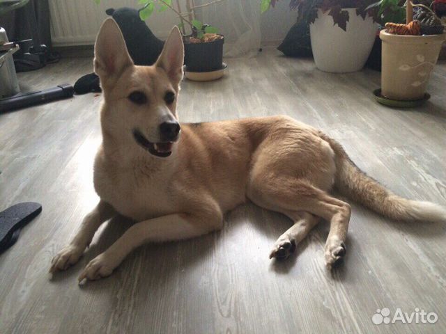 В самые добрые ручки