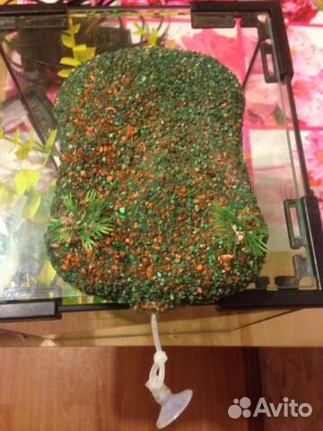 Остров для черепахи