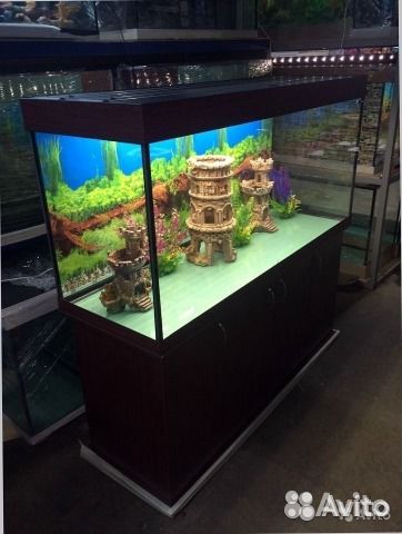 Аквариумы 100л.200.л.,304л новые, в наличии