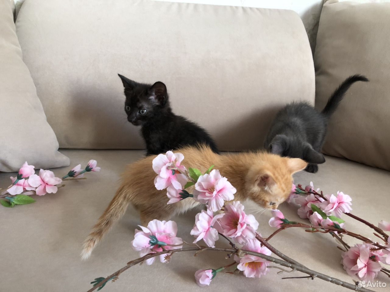 Малышня в ответственные руки