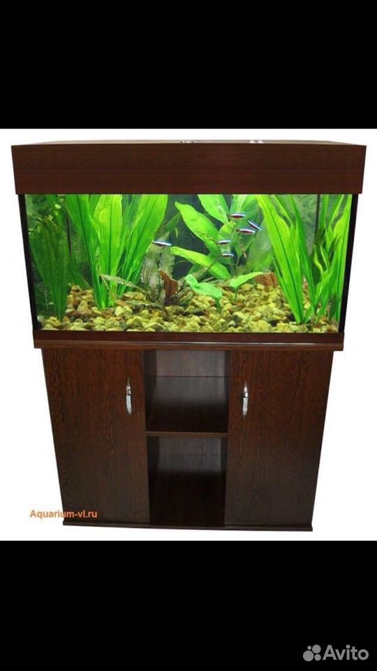 Аквариум, 250л
