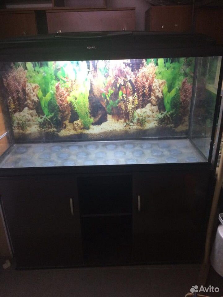 Аквариум