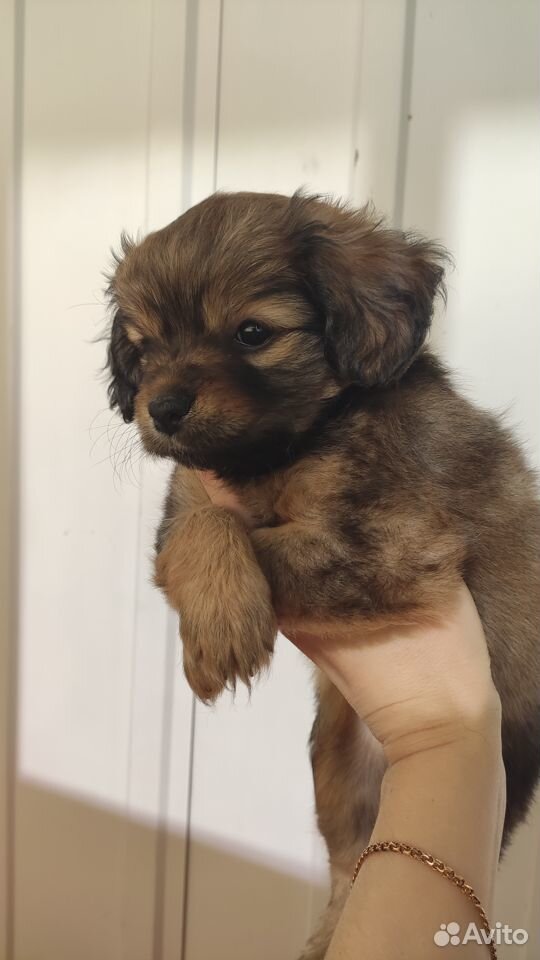 Чудесная малышка