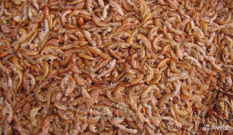 Корм для рыб,черепах