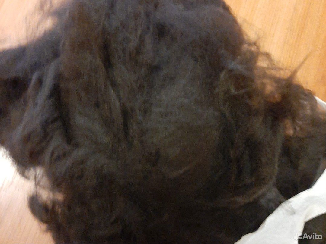 Тибетский мастиф шерсть