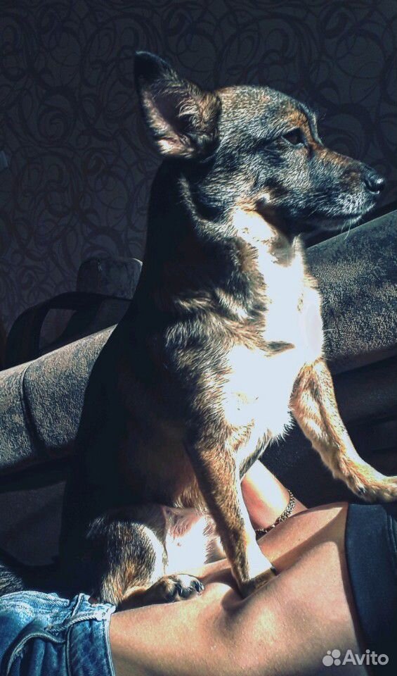 Вязка девочка