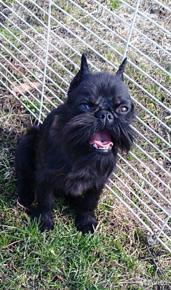 Брутальный подросток