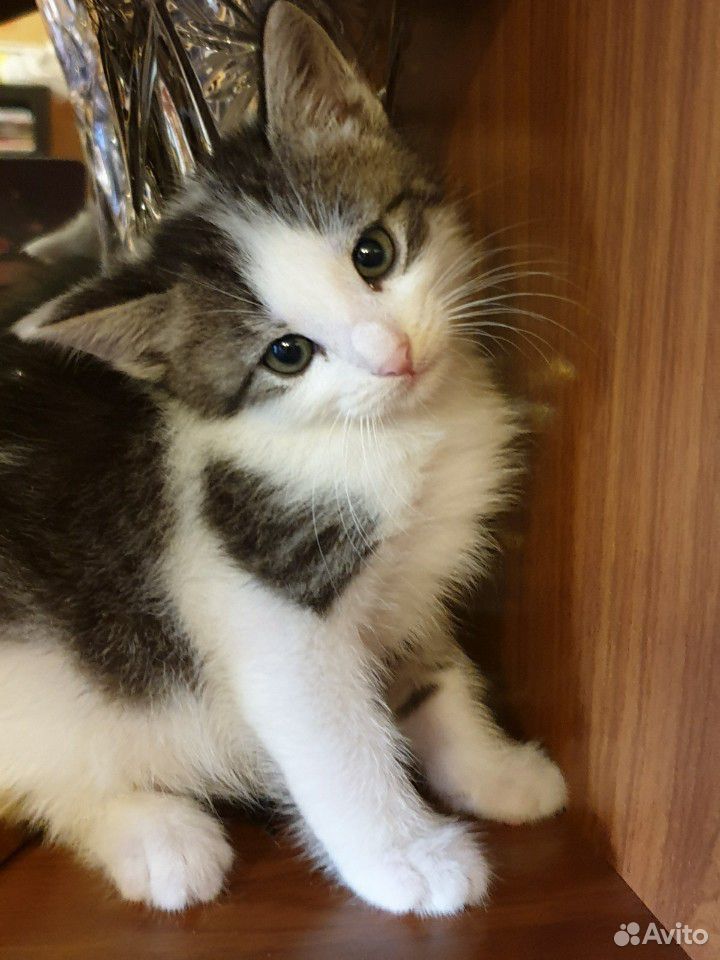 Малышка Лолита ждет маму