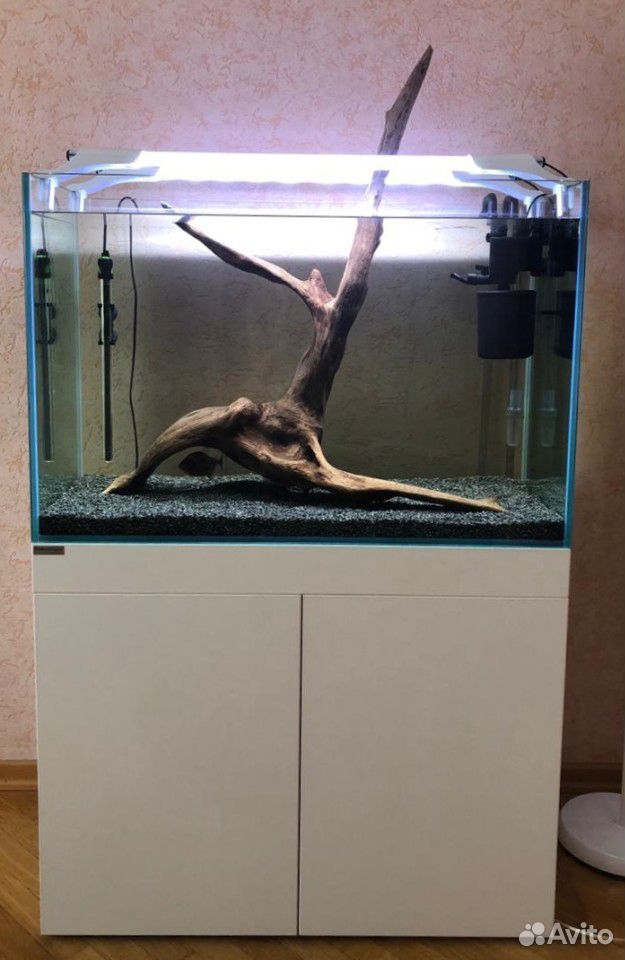 Аквариум 243л. NatureAqua + serrasalmus rhombeus