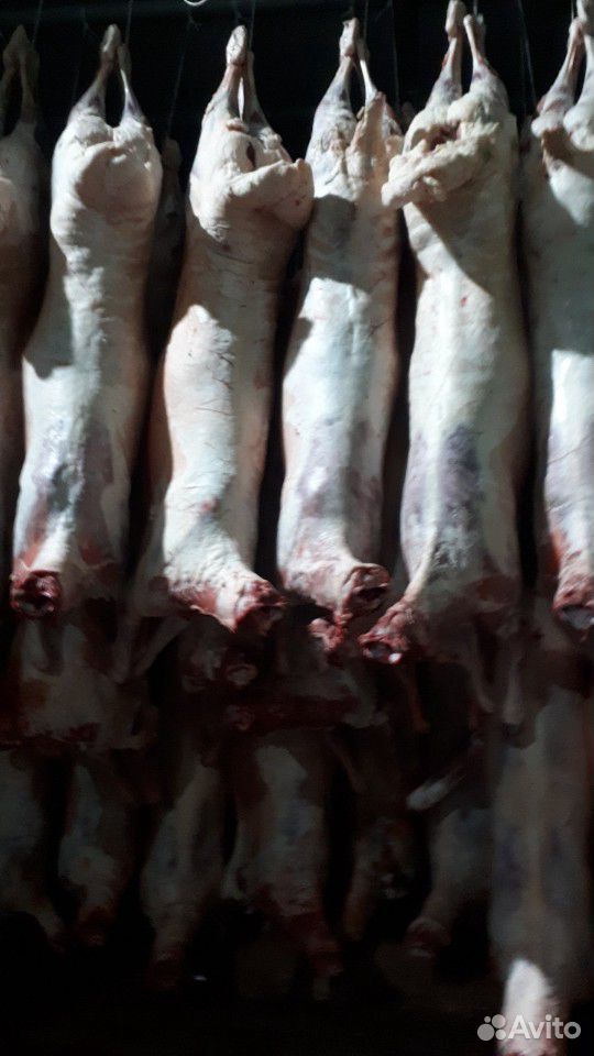 В продаже имеются баранина от 10кг,поросята,любои
