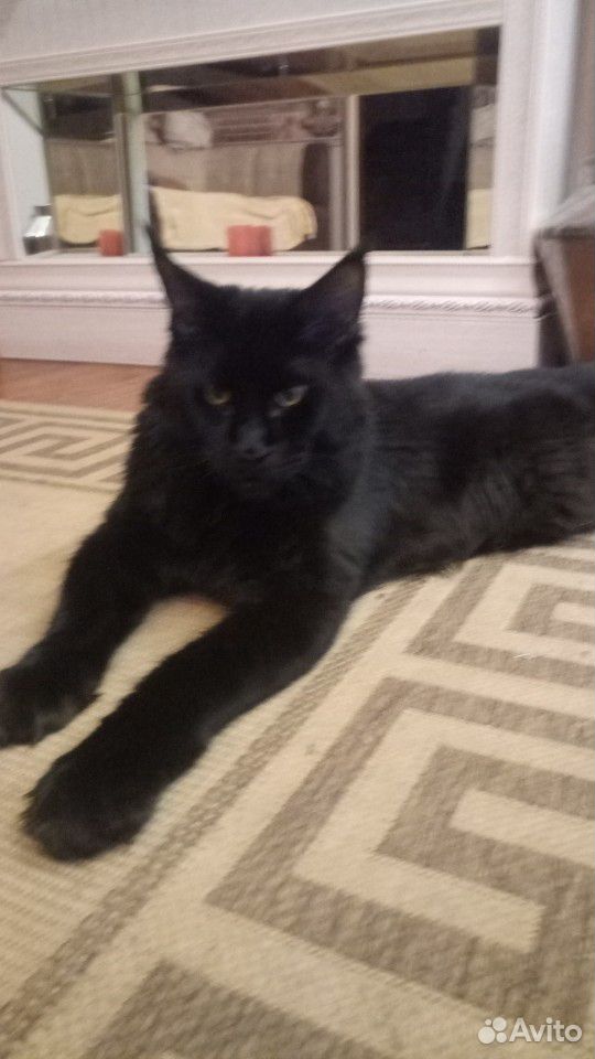 Приглашаем в гости май нкушу