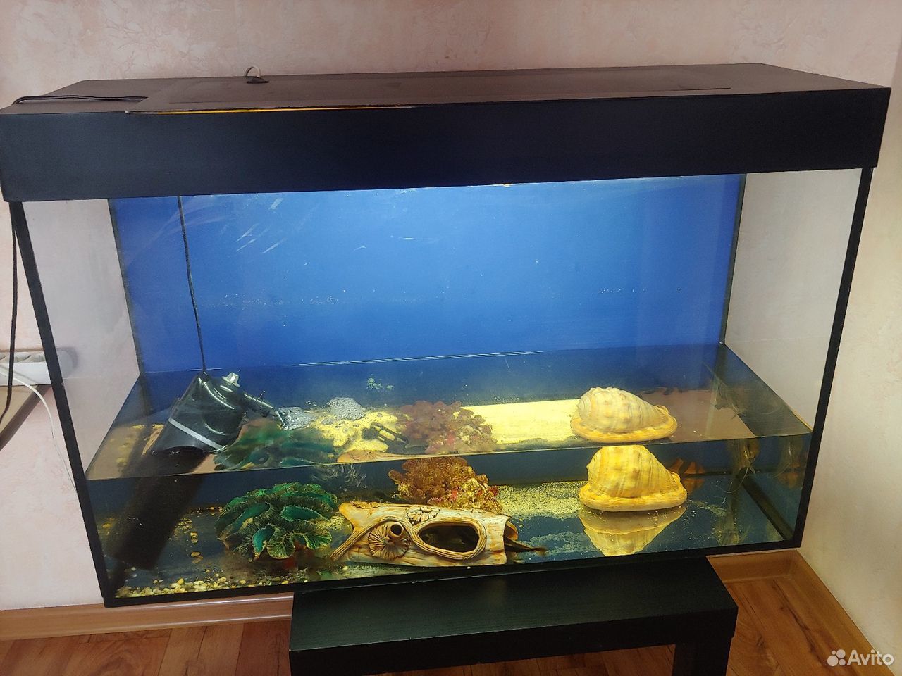 Аквариум