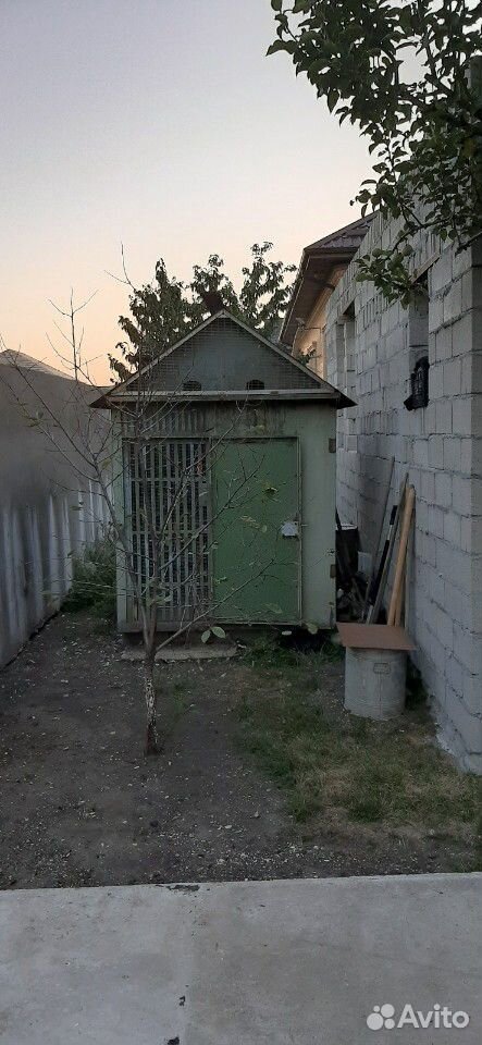 Голубятник