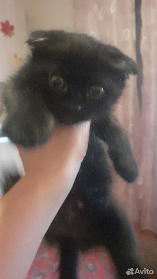 Британские