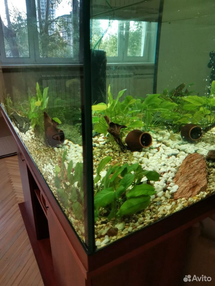 Аквариум с подстольем