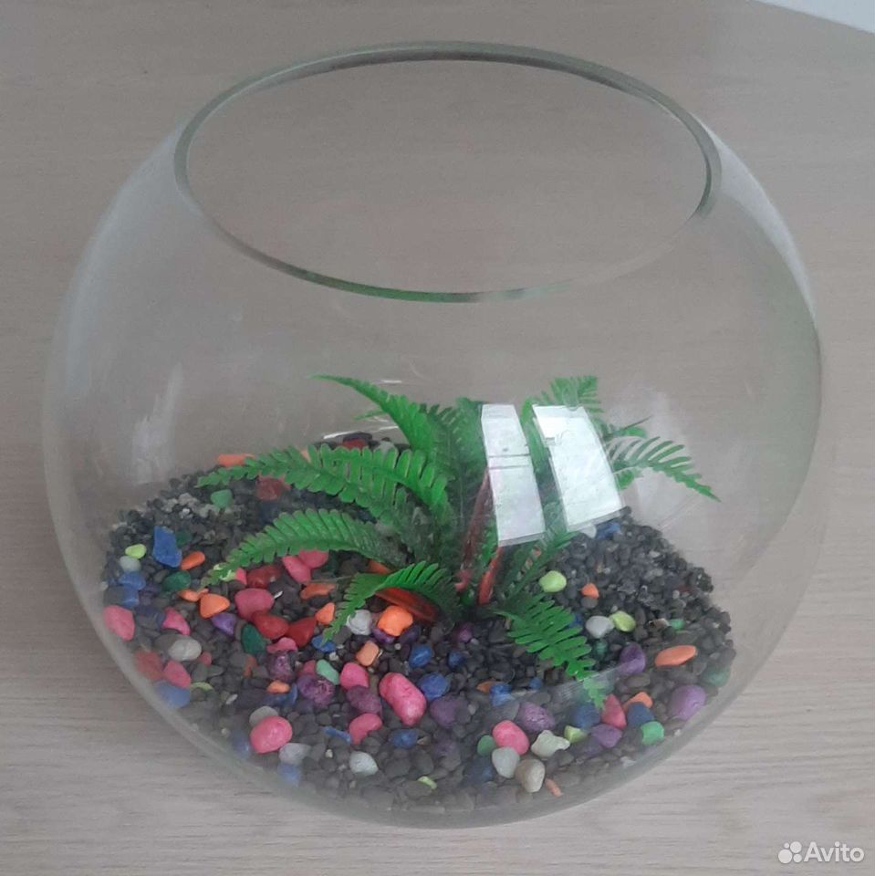 Аквариум с грунтом