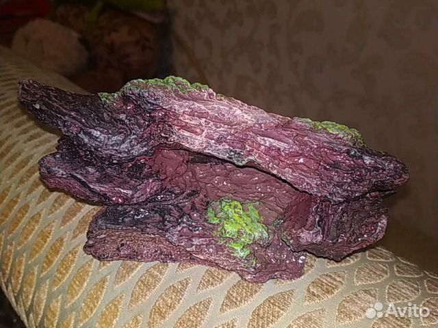 Коралл балянус для аквариума