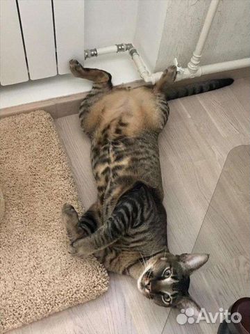 Мальчик каракет F2