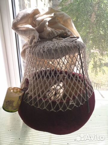 Дикий перепел