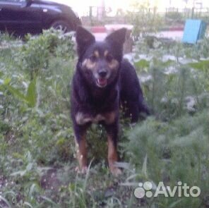 Матильда ищет дом