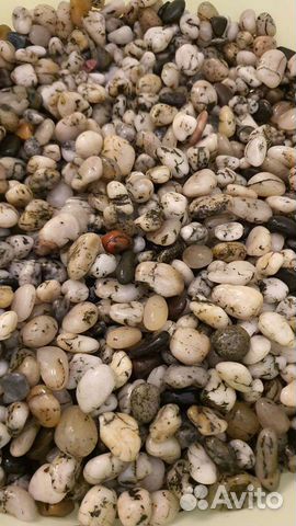 Грунт камни из аквариума