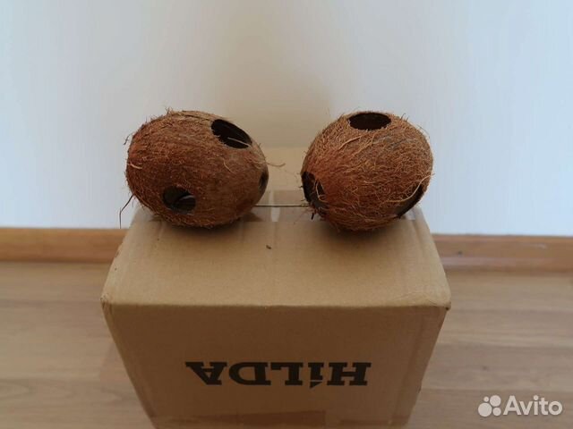 Бликса японская