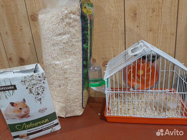 Хомяк вместе с клеткой и кормом