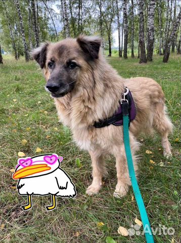 Кузя прям как из мультика