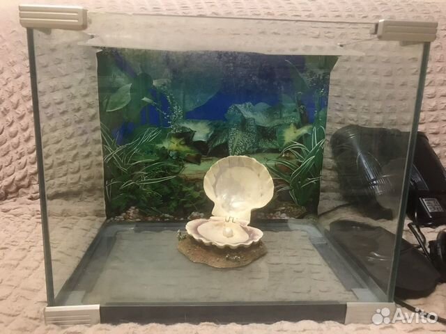 Аквариум/черепашатник