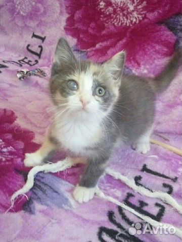 Маленькая очаровашка