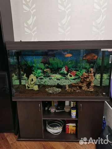 Аквариум с тумбой бу 400л