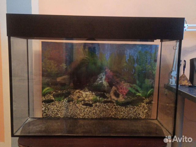 Аквариум