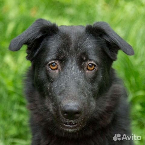 Микки. Ребёнок с обочины.Что бы там с ней было