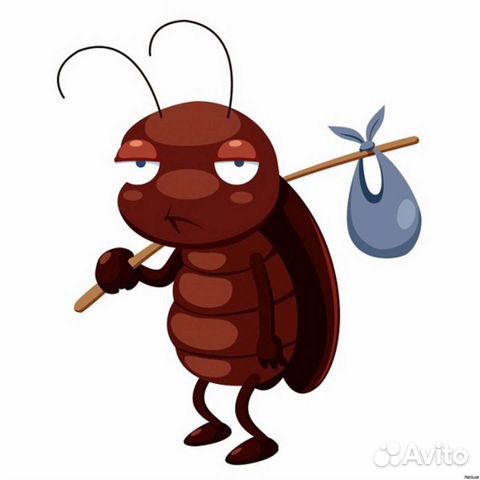 Тараканы автомобильчики