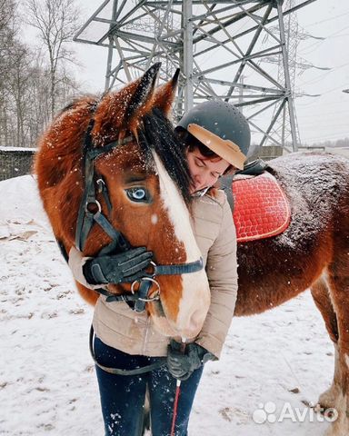Владимирская помесь -голубоглазая красотка