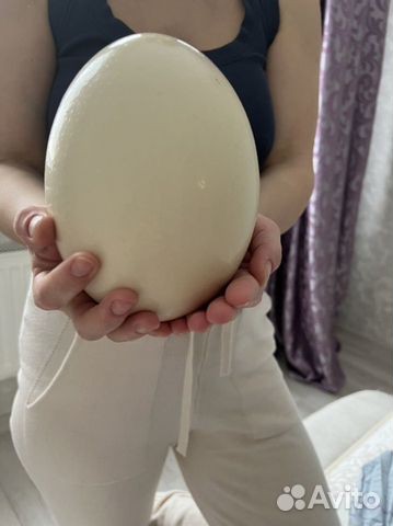 Страусиное яйцо