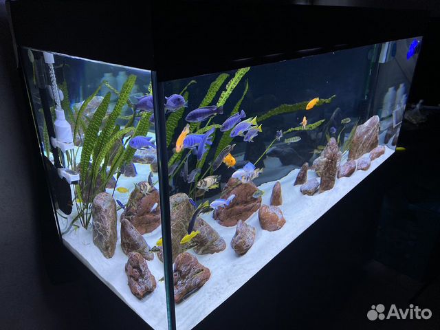 Аквариум 320л fluval fx4