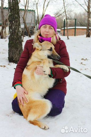 Молодая собака никогда не знала любви