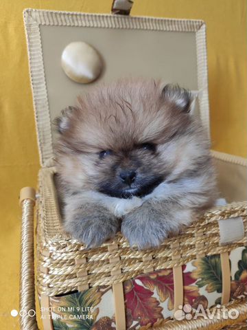 Мальчик Мишутка