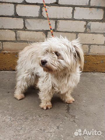 Тучка ищет дом