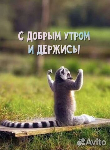 Продаю свинину