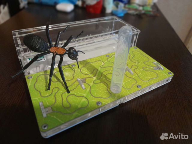 Продам муравиную ферму без муравьёв формикарий