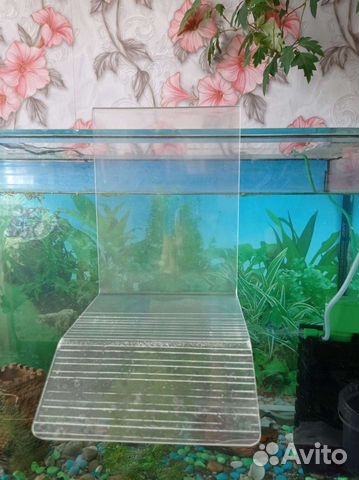 Мостик для черепахи