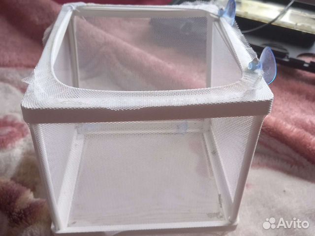 Обмен на меченосцов на более маленький отсадник