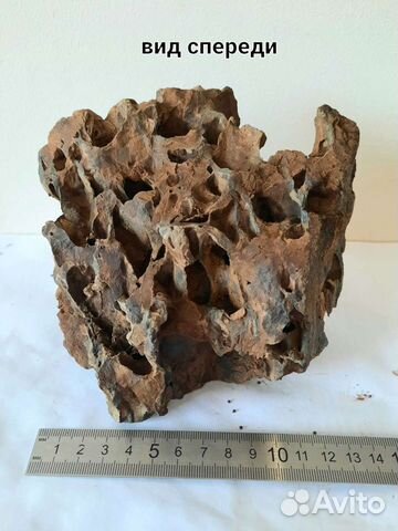 Драконий камень для аквариума