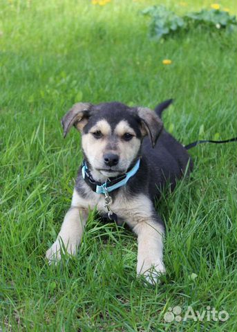 Тучка ищет дом