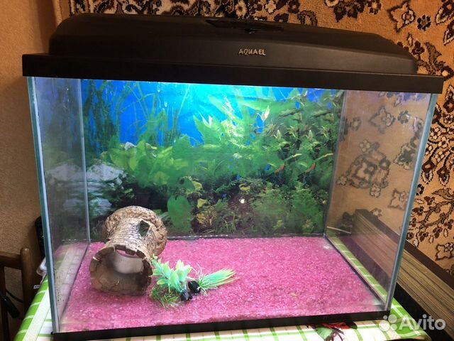 Аквариум Aquael 70 литров