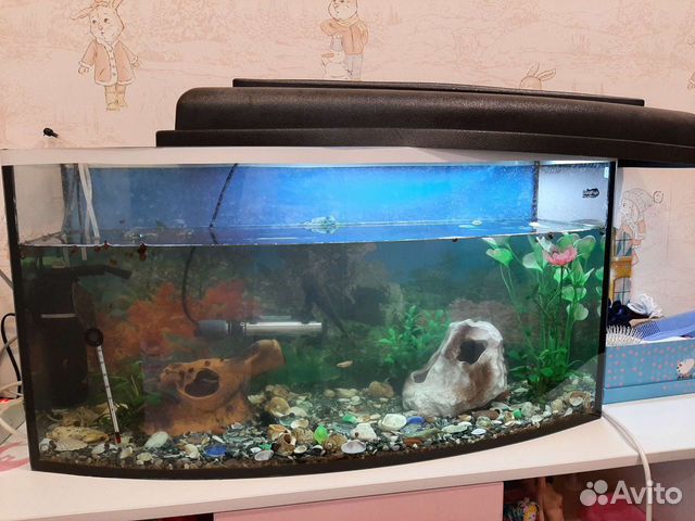 Авариум с фильтрами, рыбками