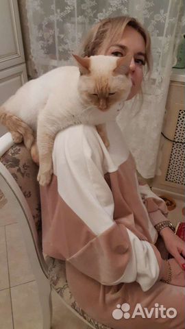 Котята в добрые руки 1 месяц